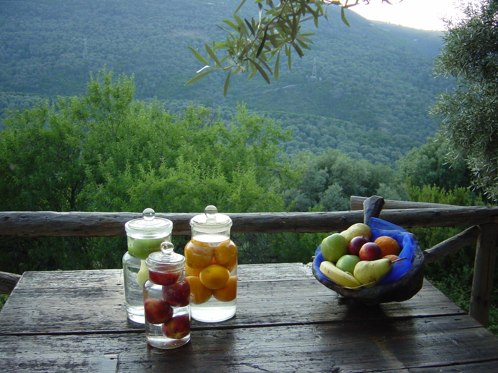 Pavezzo.gr - Καλώς Ήλθατε